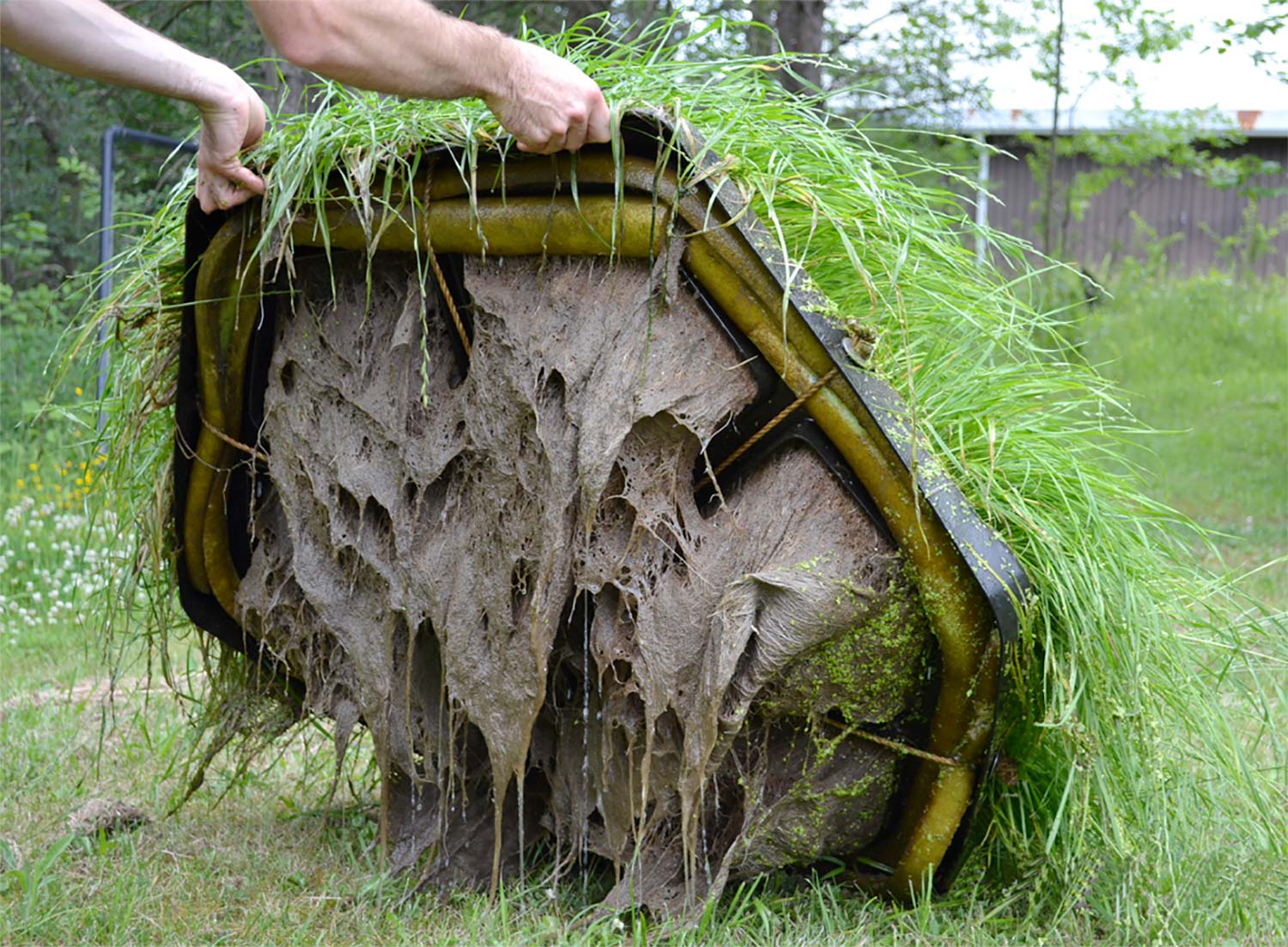 Floating Treatment Wetlands - Terrapin Water