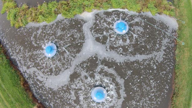 Blue Frog System - Terrapin Water